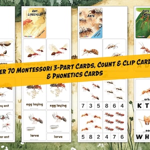 ANTS NATURE Study Unit, UPDATED, Huge Printables Collection, Lifecycle ...