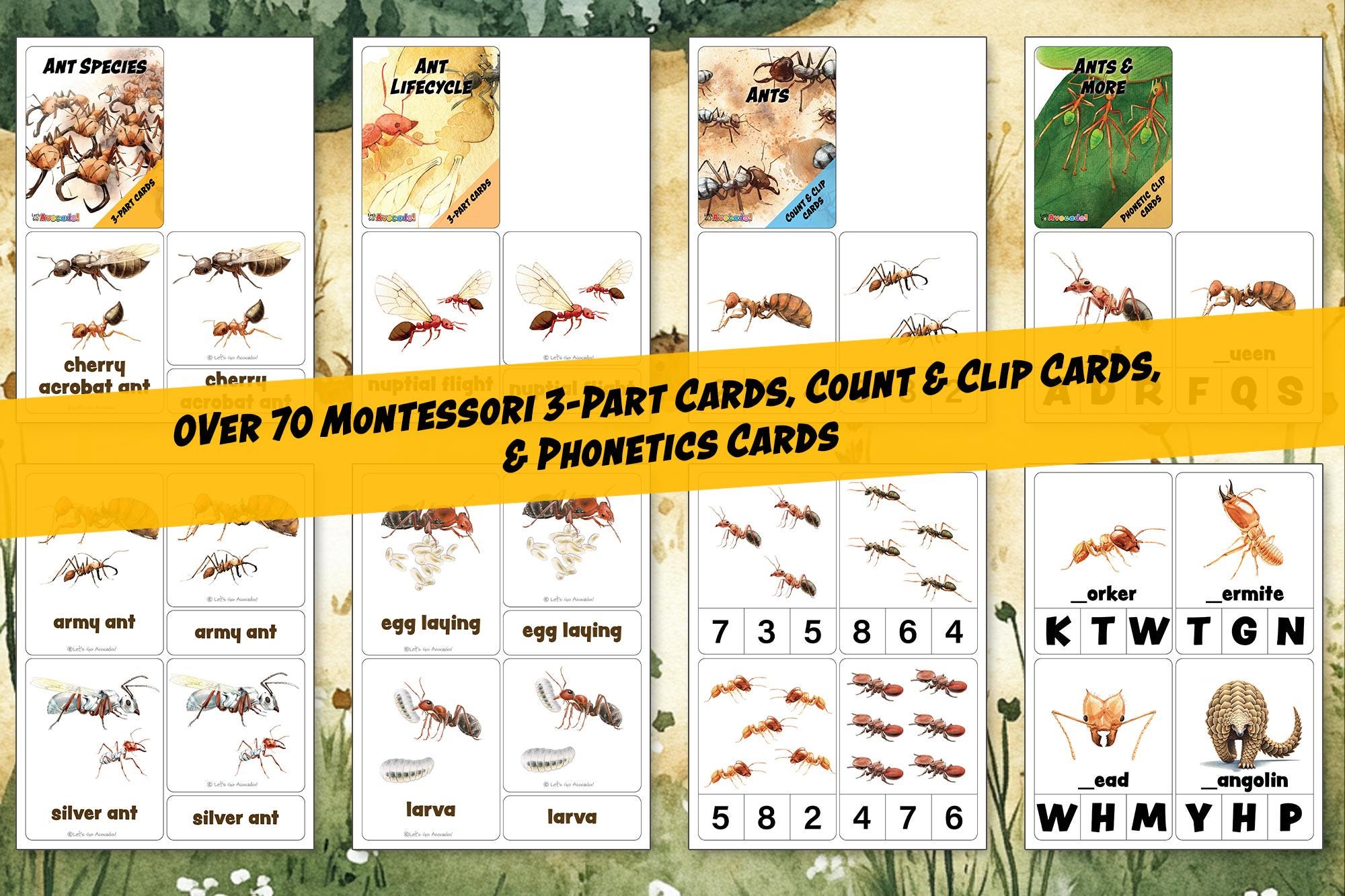 ANTS NATURE Study Unit, UPDATED, Huge Printables Collection, Lifecycle ...