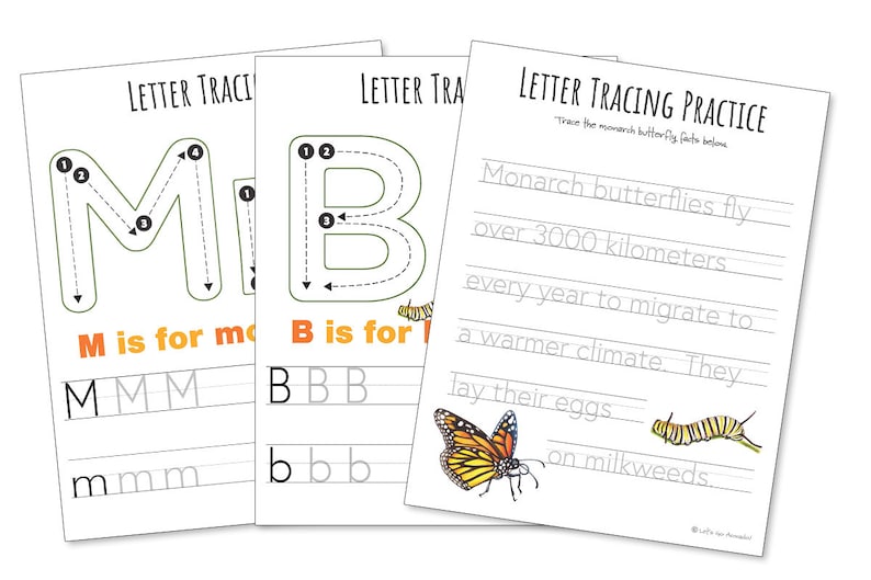 MONARCH BUTTERFLY Nature Study 40 Pages, Life Cycle, Anatomy, Unit ...