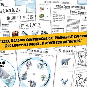 POLAR BEAR NATURE Study, Unit Study, Homeschool Printables, Life Cycle ...