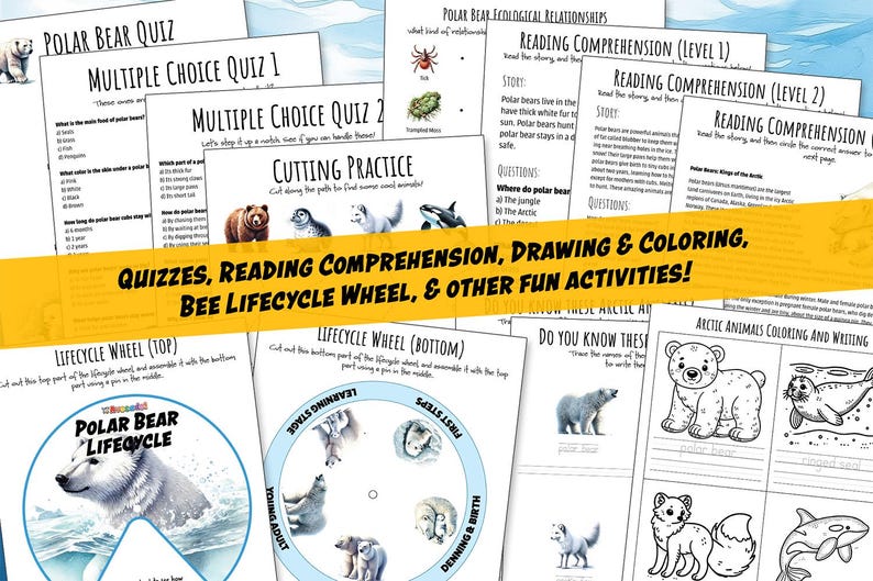POLAR BEAR NATURE Study, Unit Study, Homeschool Printables, Life Cycle ...
