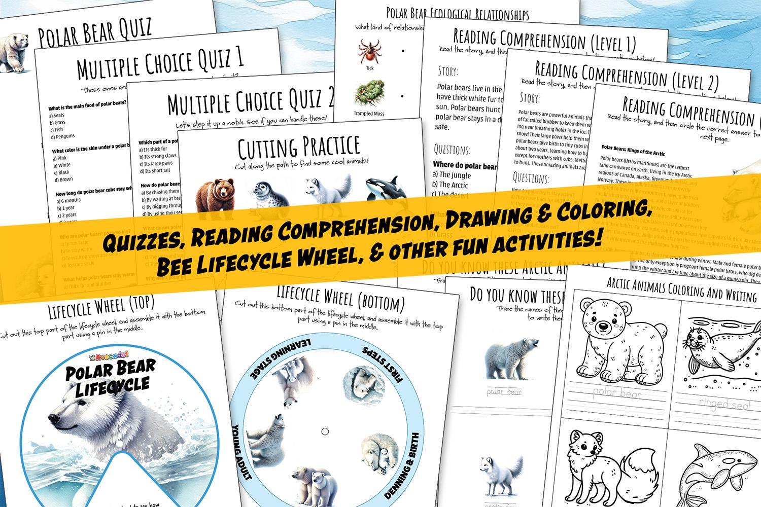 POLAR BEAR NATURE Study, Unit Study, Homeschool Printables, Life Cycle ...