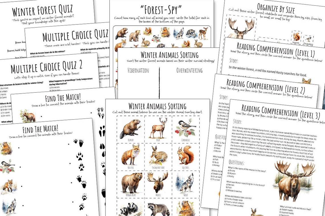 WINTER FOREST Animals Nature Unit, Winter Unit Study, Life Cycles ...