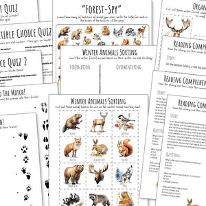 WINTER FOREST Animals Nature Unit, Winter Unit Study, Life Cycles ...