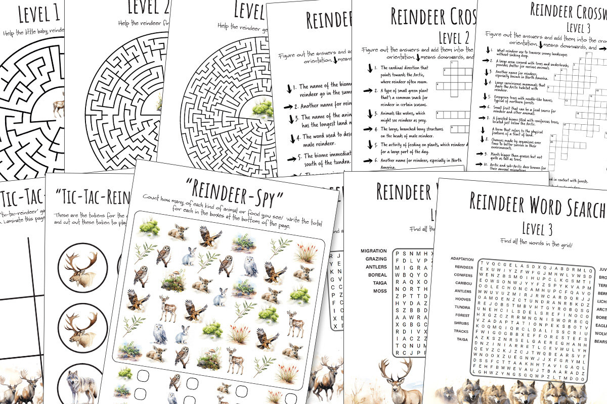 REINDEER Caribou Nature Unit Study, Printables, Lifecycle, Migration ...