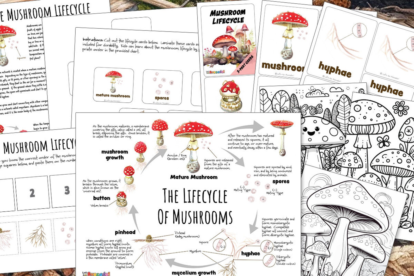 MUSHROOM LIFECYCLE Worksheet 12 Pages, Poster and Labeling Activity, 3 ...
