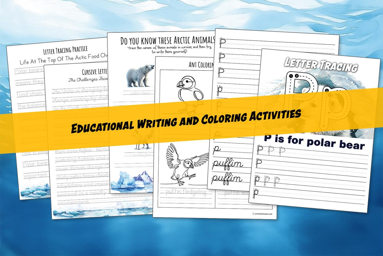 POLAR BEAR NATURE Study, Unit Study, Homeschool Printables, Life Cycle ...