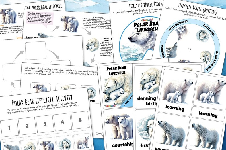 POLAR BEAR LIFECYCLE, Unit Study, Homeschool Printables, Life Cycle ...