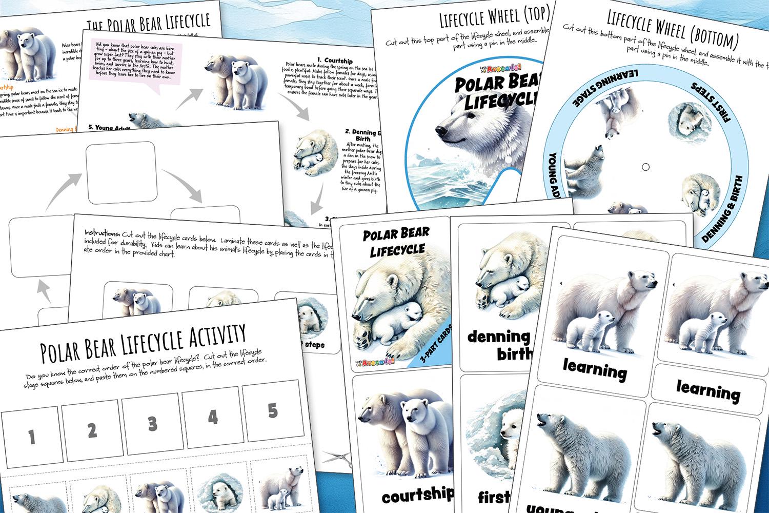 POLAR BEAR LIFECYCLE, Unit Study, Homeschool Printables, Life Cycle ...