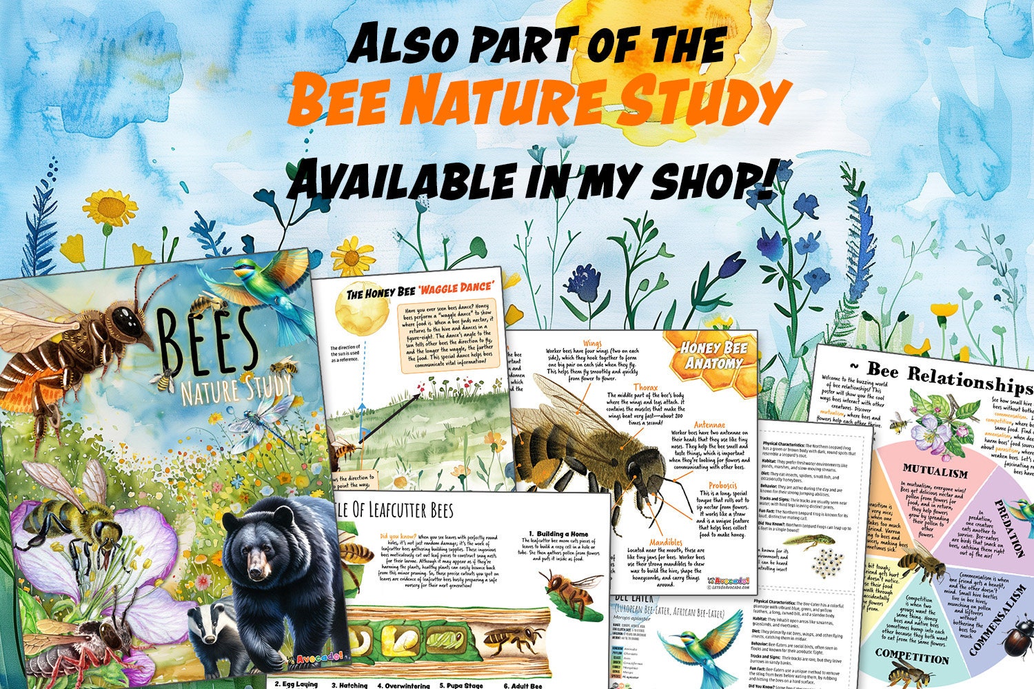 HONEY BEE LIFECYCLE Worksheet 10 Pages, Poster and Labeling Activity, 3 ...