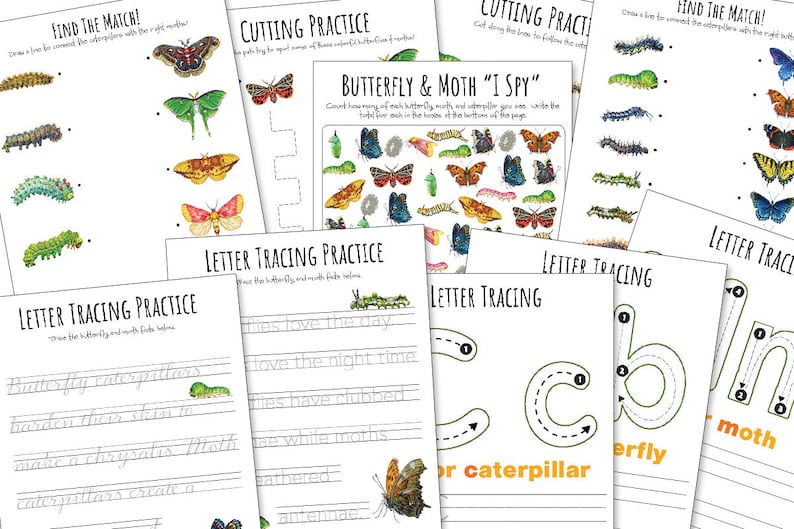 BUTTERFLY & MOTH Nature Study 88 Pages, Life Cycle, Anatomy, Unit Study ...