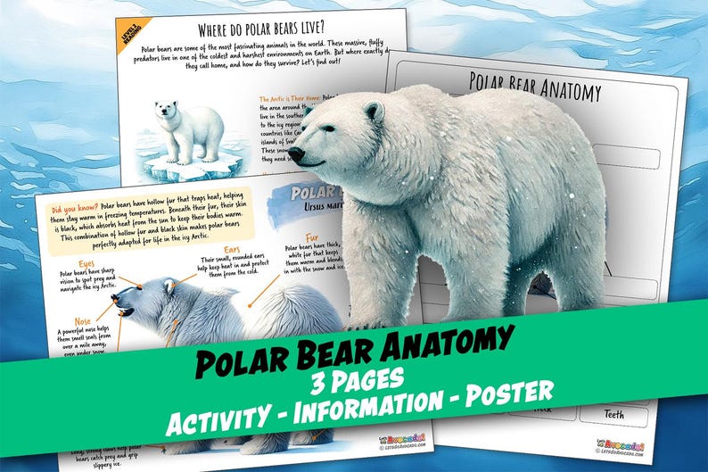 POLAR BEAR ANATOMY, Unit Study, Homeschool Printables, Anatomy, Science ...