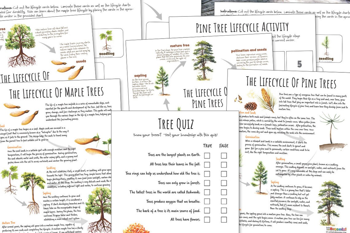 TREE Nature Unit, HUGE Printables Collection, Leaf Shape, Life Cycle ...