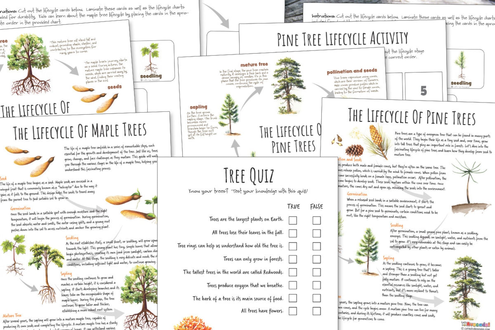 TREE Nature Unit, HUGE Printables Collection, Leaf Shape, Life Cycle ...