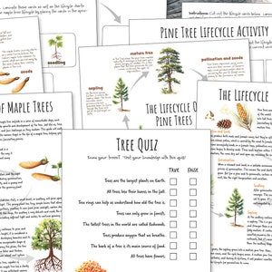 TREE Nature Unit, HUGE Printables Collection, Leaf Shape, Life Cycle ...