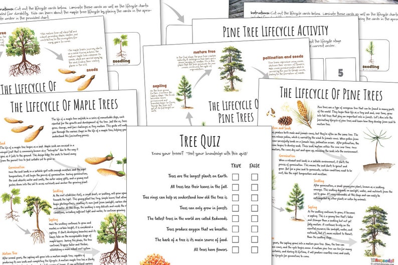 TREE Nature Unit, HUGE Printables Collection, Leaf Shape, Life Cycle ...