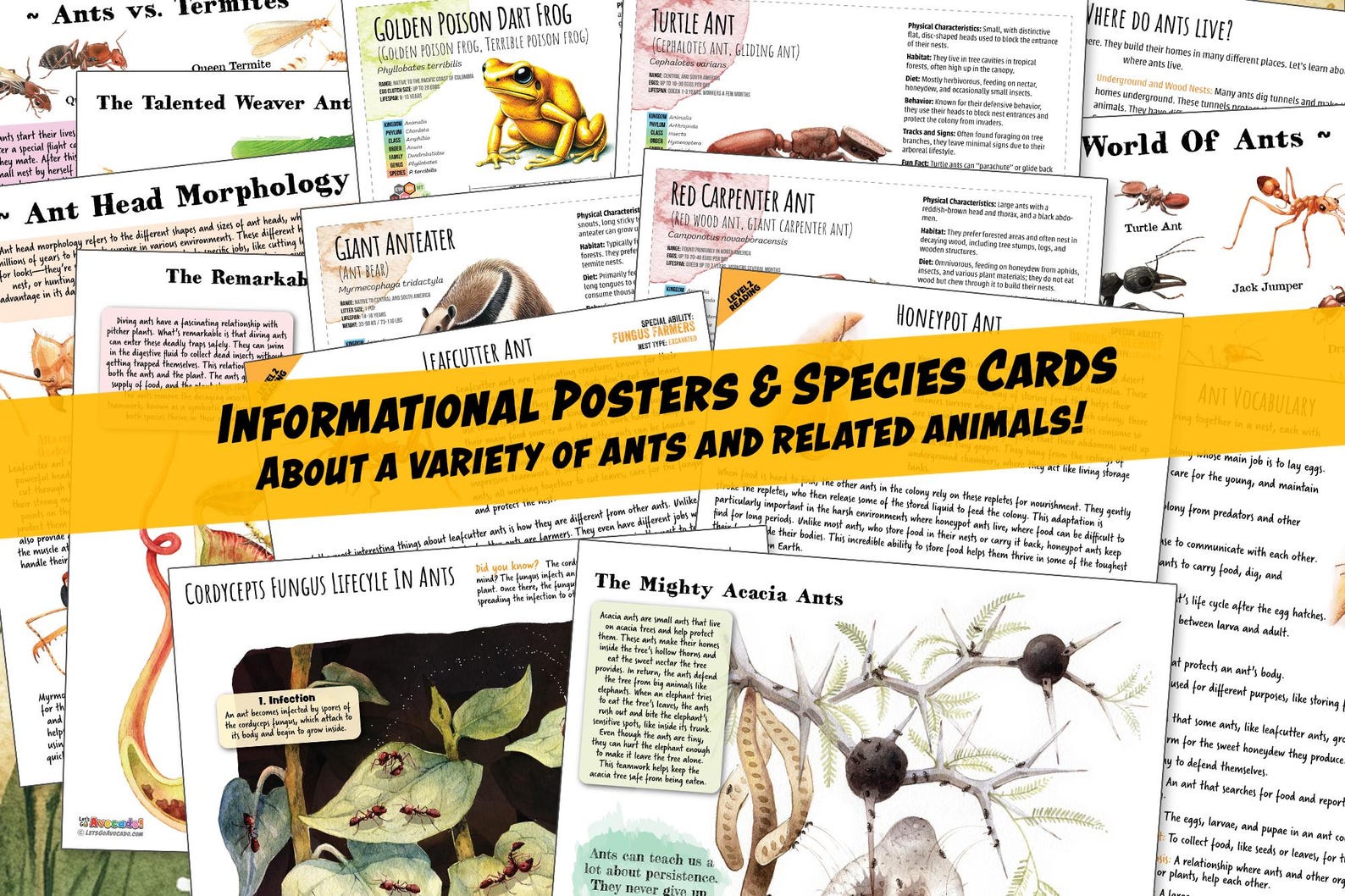 ANTS NATURE Study Unit, UPDATED, Huge Printables Collection, Lifecycle ...