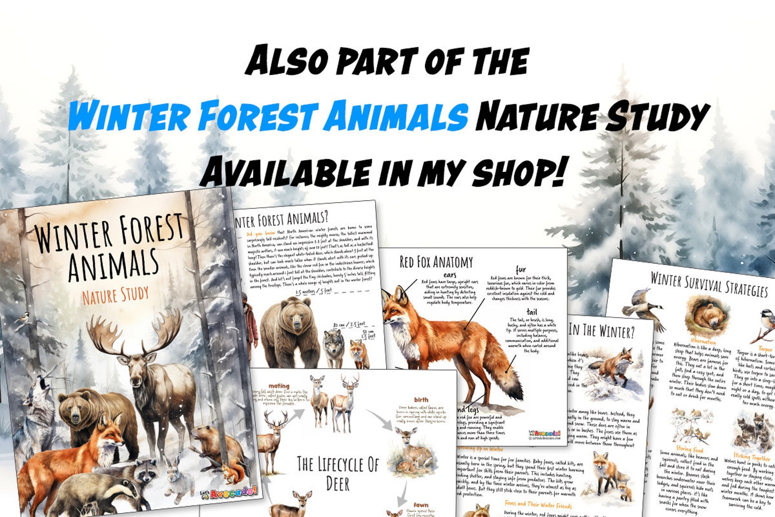 FOX LIFECYCLE Worksheet 9 Pages, Poster and Labeling Activity, 3-part ...