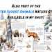 FOX LIFECYCLE Worksheet 9 Pages, Poster and Labeling Activity, 3-part ...