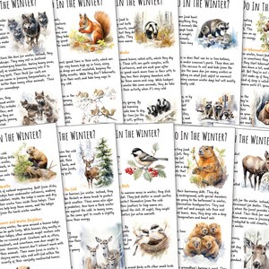 WINTER FOREST Animals Nature Unit, Winter Unit Study, Life Cycles ...