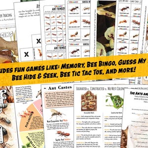 ANTS NATURE Study Unit, UPDATED, Huge Printables Collection, Lifecycle ...