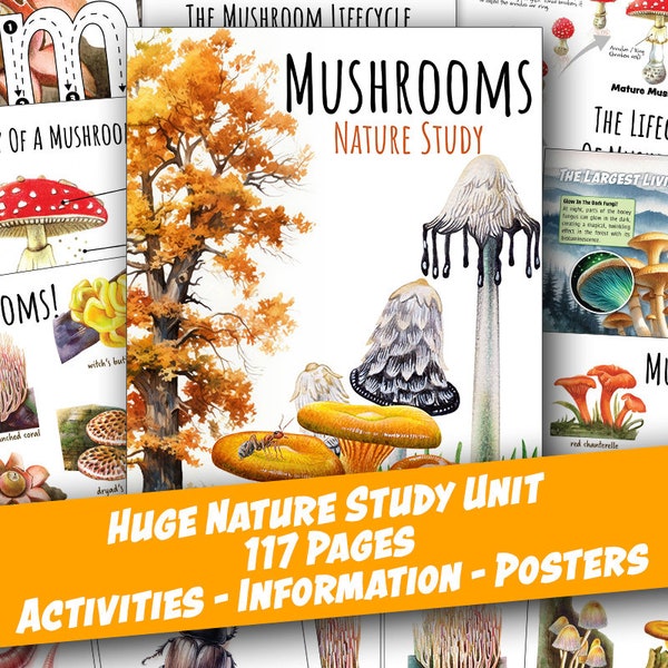 Mushroom Poster - Etsy