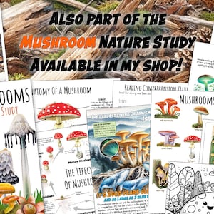 MUSHROOM LIFECYCLE Worksheet 12 Pages, Poster and Labeling Activity, 3 ...