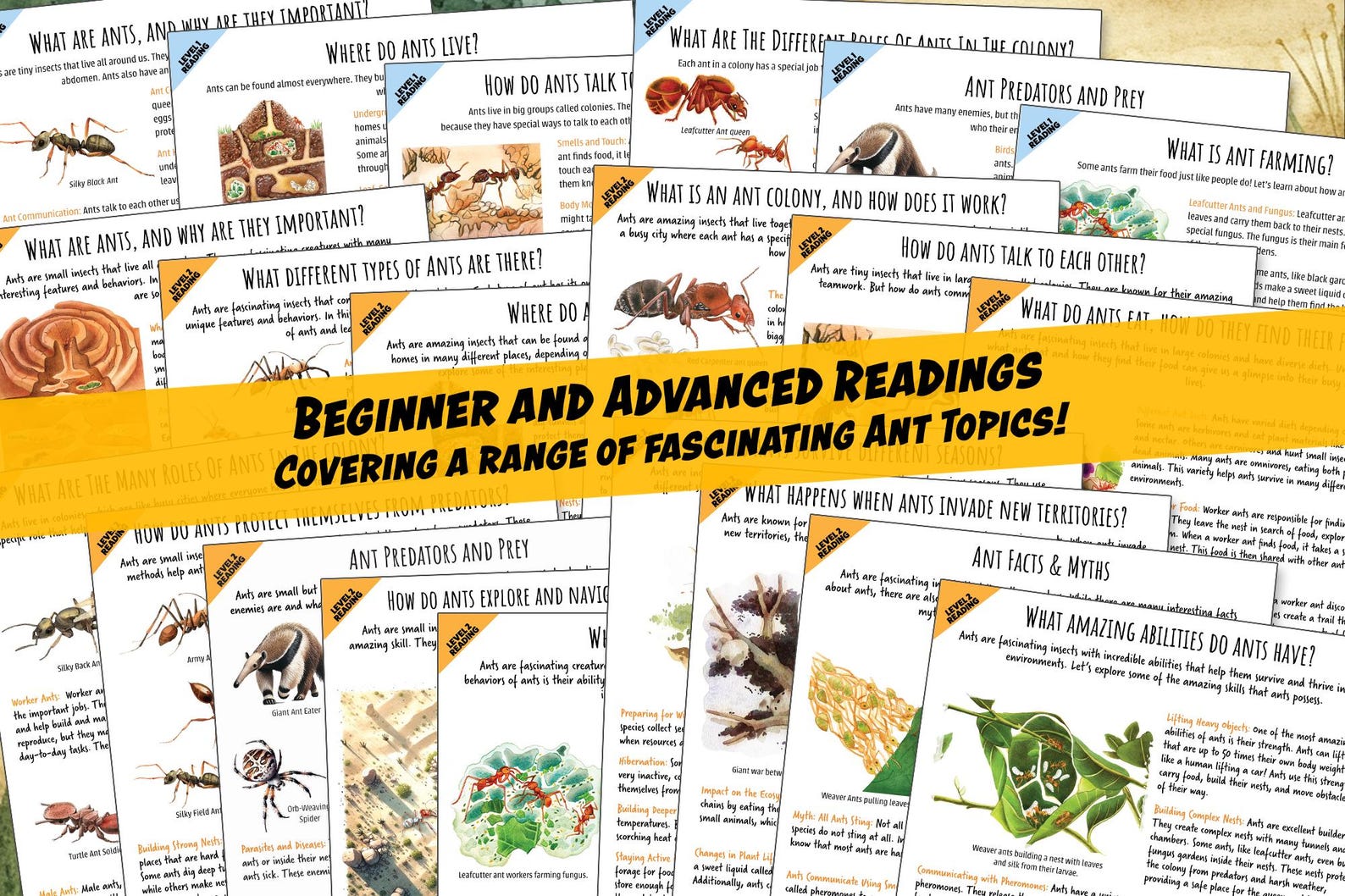 ANTS NATURE Study Unit, UPDATED, Huge Printables Collection, Lifecycle ...