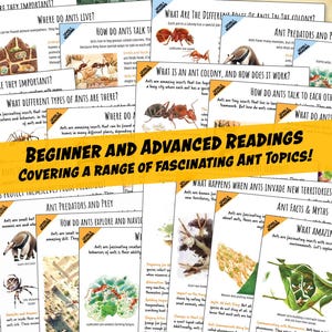 ANTS NATURE Study Unit, UPDATED, Huge Printables Collection, Lifecycle ...