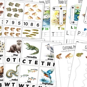 FROG and TOAD Nature Unit, HUGE Printables Collection, Life Cycle ...