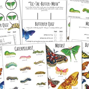 BUTTERFLY & MOTH Nature Study 88 Pages, Life Cycle, Anatomy, Unit Study ...