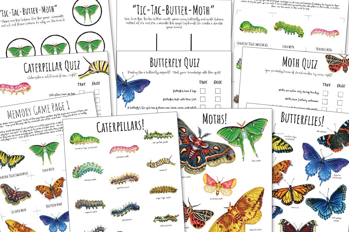 BUTTERFLY & MOTH Nature Study 88 Pages, Life Cycle, Anatomy, Unit Study ...