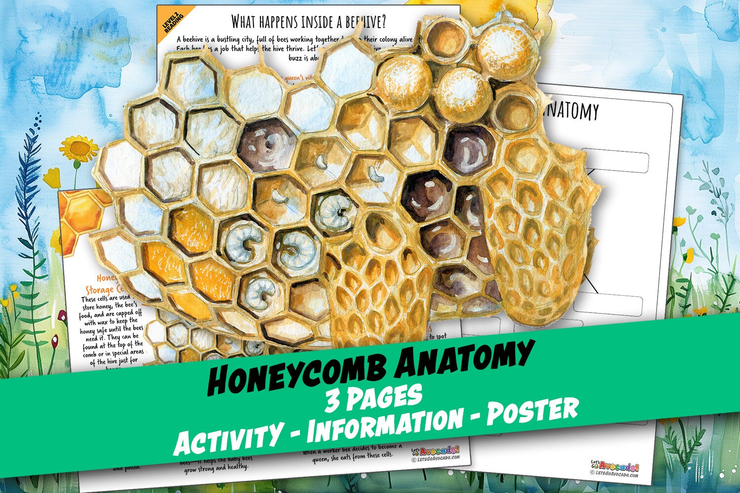 HONEYCOMB ANATOMY Worksheet 3 Pages, Bee Poster and Labeling Activity ...