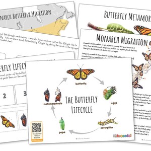 MONARCH BUTTERFLY Nature Study 40 Pages, Life Cycle, Anatomy, Unit ...