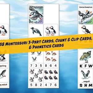 PUFFINS NATURE STUDY Unit, Homeschool Printables, Unit Study, Life ...