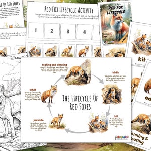 FOX LIFECYCLE Worksheet 9 Pages, Poster and Labeling Activity, 3-part ...