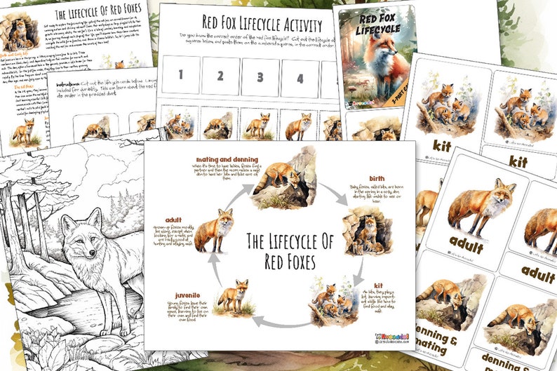 FOX LIFECYCLE Worksheet 9 Pages, Poster and Labeling Activity, 3-part ...