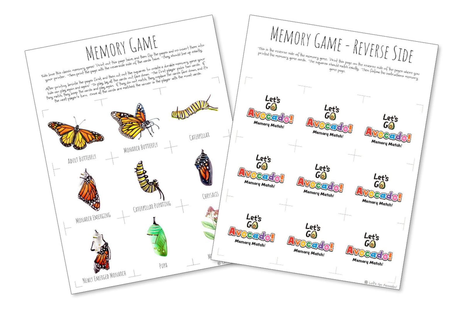 MONARCH BUTTERFLY Nature Study 40 Pages, Life Cycle, Anatomy, Unit ...
