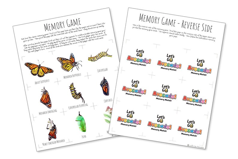 MONARCH BUTTERFLY Nature Study 40 Pages, Life Cycle, Anatomy, Unit ...