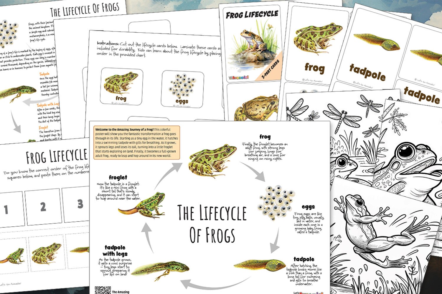 FROG LIFECYCLE Worksheet 12 Pages, Poster and Labeling Activity, 3-part ...