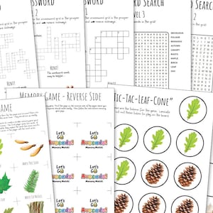 TREE Nature Unit, HUGE Printables Collection, Leaf Shape, Life Cycle ...