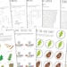 TREE Nature Unit, HUGE Printables Collection, Leaf Shape, Life Cycle ...