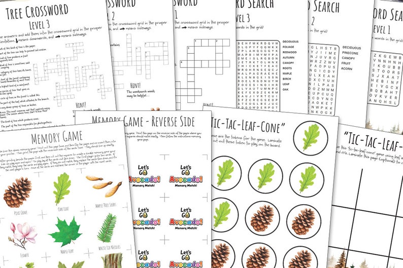 TREE Nature Unit, HUGE Printables Collection, Leaf Shape, Life Cycle ...