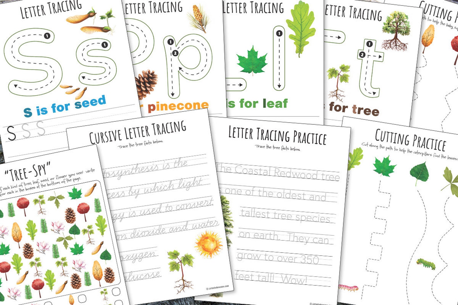 TREE Nature Unit, HUGE Printables Collection, Leaf Shape, Life Cycle ...