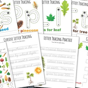 TREE Nature Unit, HUGE Printables Collection, Leaf Shape, Life Cycle ...