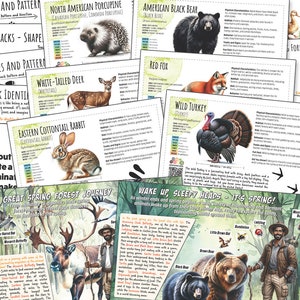 SPRING FOREST Animals Nature Unit, HUGE Printables Collection, Life ...