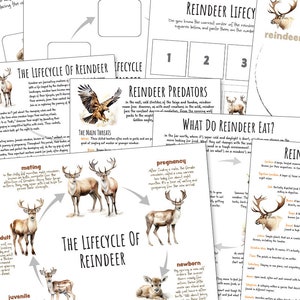 REINDEER Caribou Nature Unit Study, Printables, Lifecycle, Migration ...