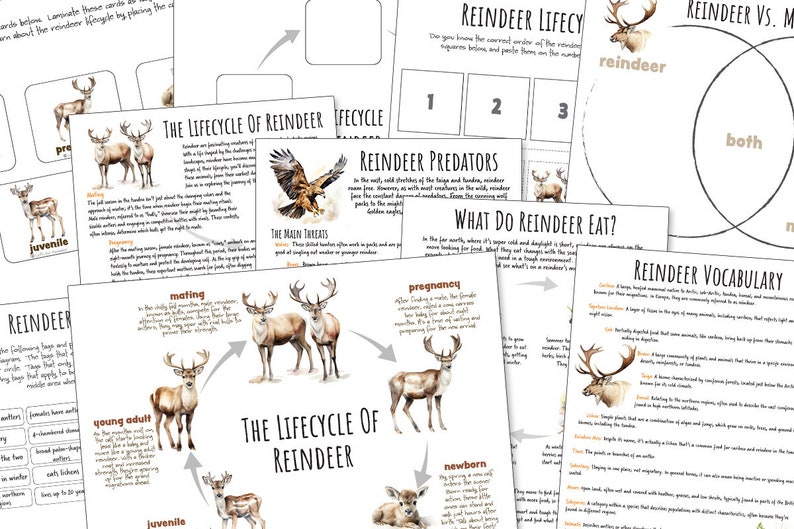 REINDEER Caribou Nature Unit Study, Printables, Lifecycle, Migration ...