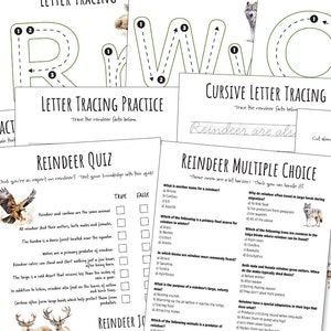 REINDEER Caribou Nature Unit Study, Printables, Lifecycle, Migration ...