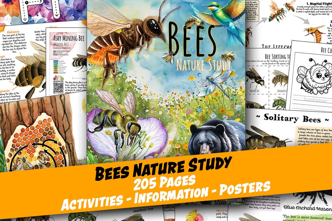 BEES NATURE STUDY Unit, Huge Printables Collection, Life Cycle, Anatomy ...